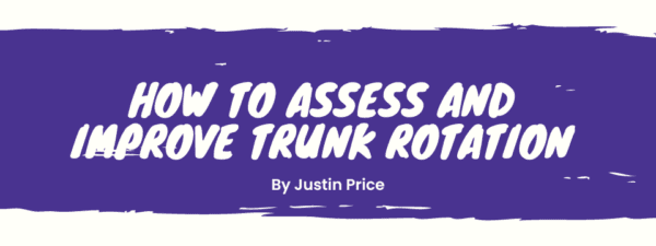 How to Assess and Improve Trunk Rotation | NETA, National Exercise ...