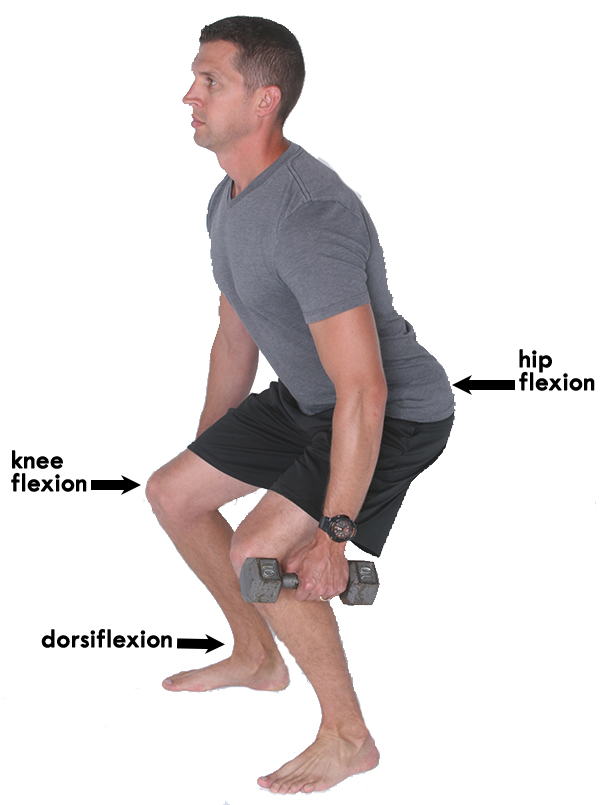 Causes and Cures for Ankle Pain | NETA, National Exercise Trainers ...